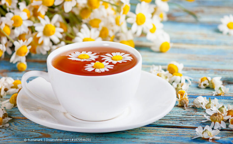 Kamillentee selber machen | Tipps zur Zubereitung von Kamilleblüten